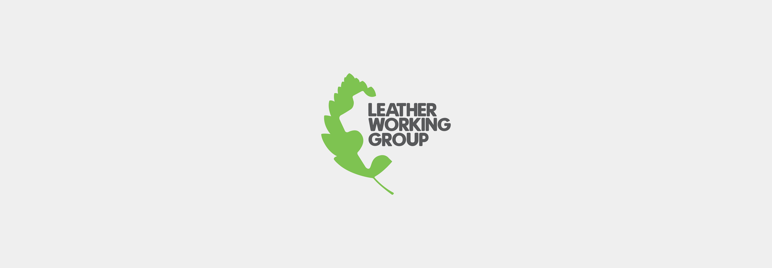Leather Working Group – Garment Project